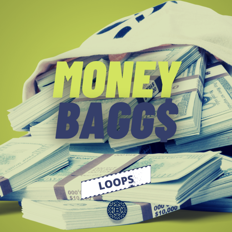 Money Baggs Melody Loops – LitWav.com – FIRE Sounds For Music Producers ...